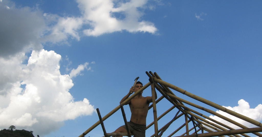 Talahib ~ The Coconuter