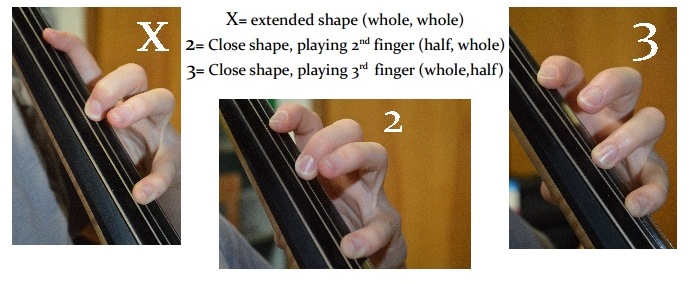 tbanjo: Cello Hand Shapes and Fingering Techniques for the Tenor Banjo?
