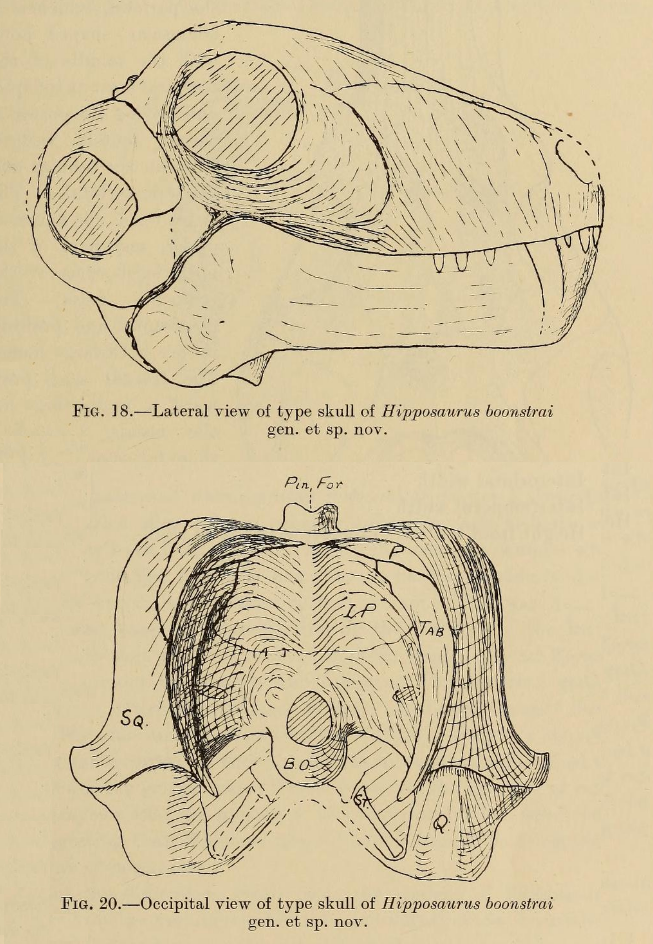 Life is short, but snakes are long: January 2017