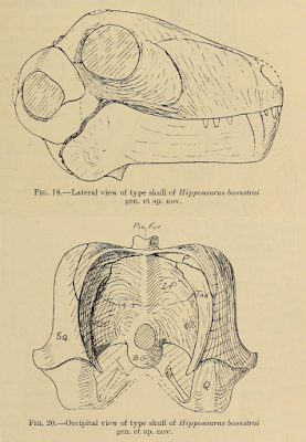 Life is short, but snakes are long: January 2017