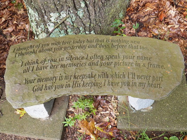 benchsite: Poetry Please? Benches for World Poetry Day