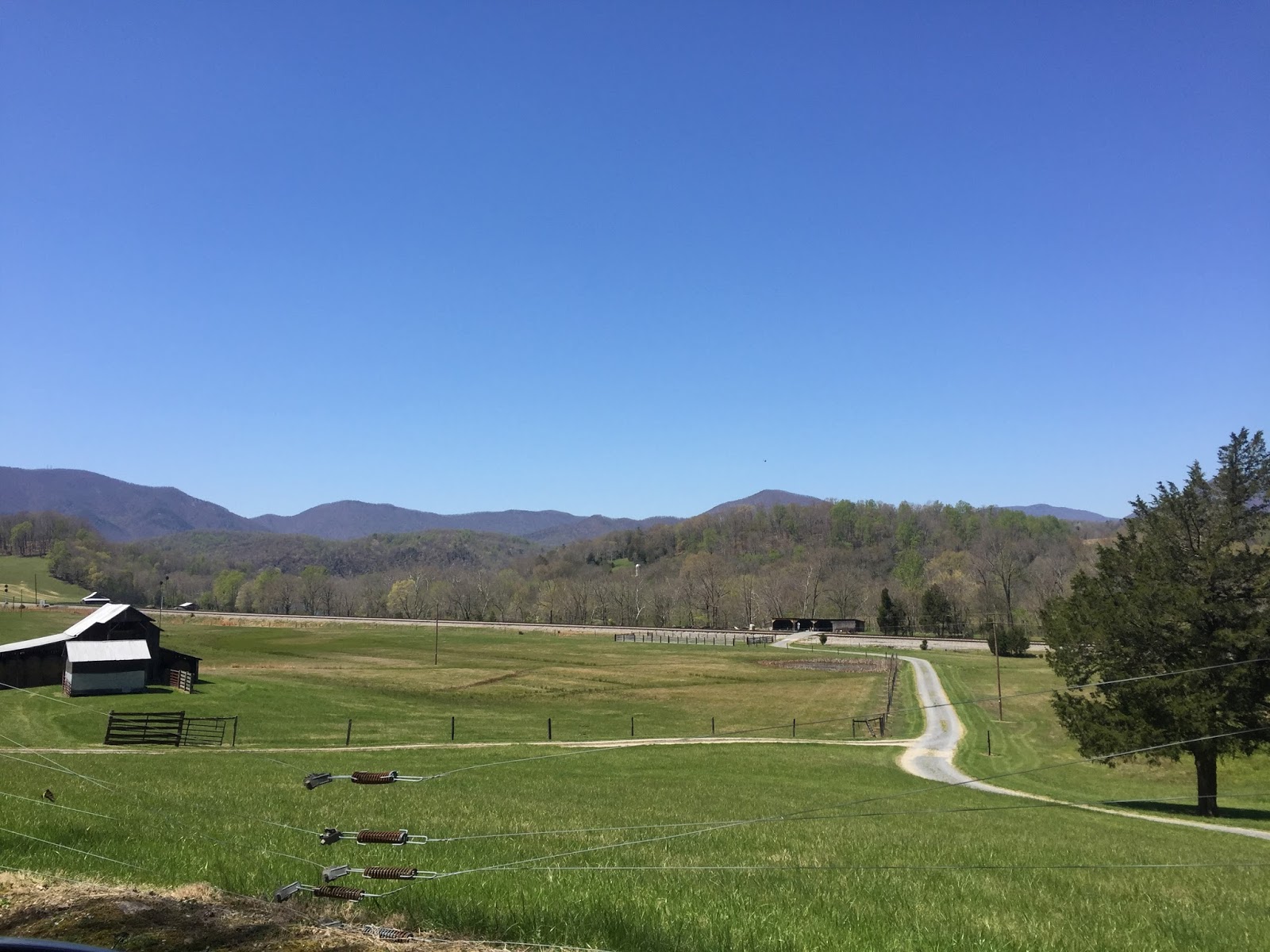 Wandering Virginia: Sprouts Run/Wilson Mountain Loop: Jefferson ...