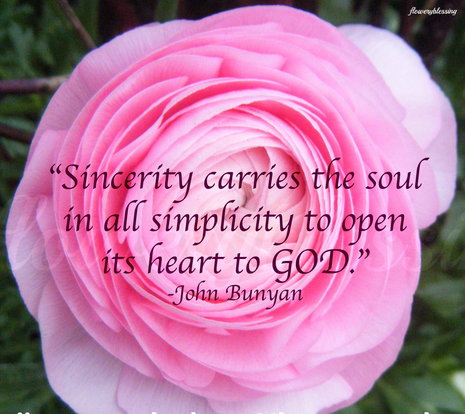 Flowery Blessing: “Sincerity carries the soul in all simplicity to open ...