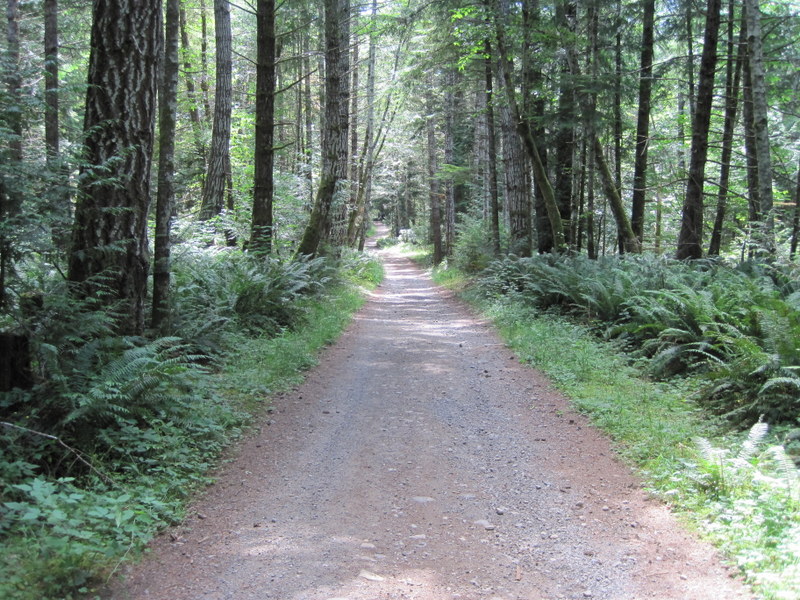 Tuesday Ad Hoc Hikers: Tuesday June 25, 2013 Mount Manuel Quimper