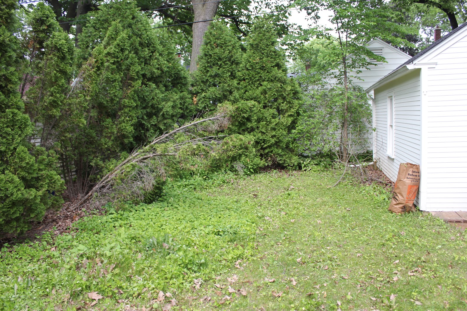 My New Butterfly Garden