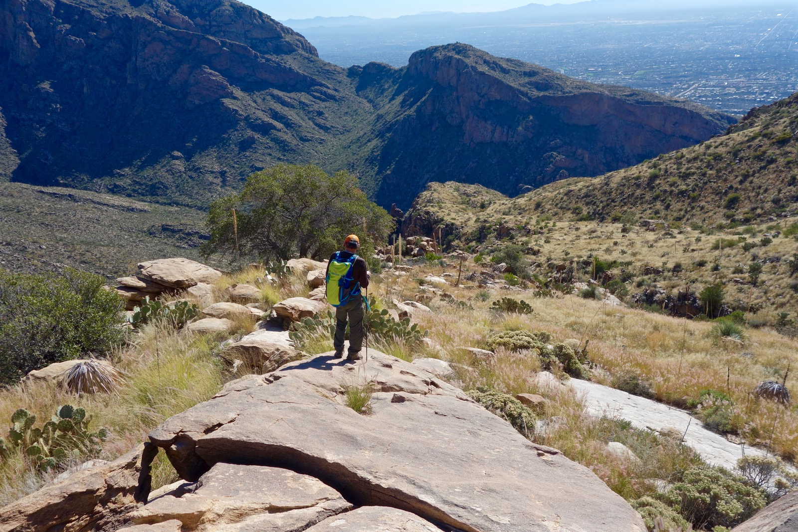 Earthline: The American West: Pusch Peak, 5,361', Pusch Ridge Wilderness