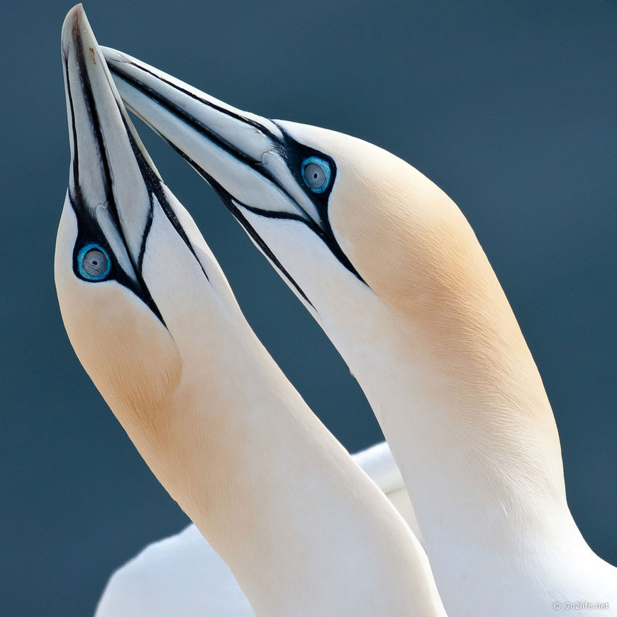 Beautiful World : Unique Shots Of Nature