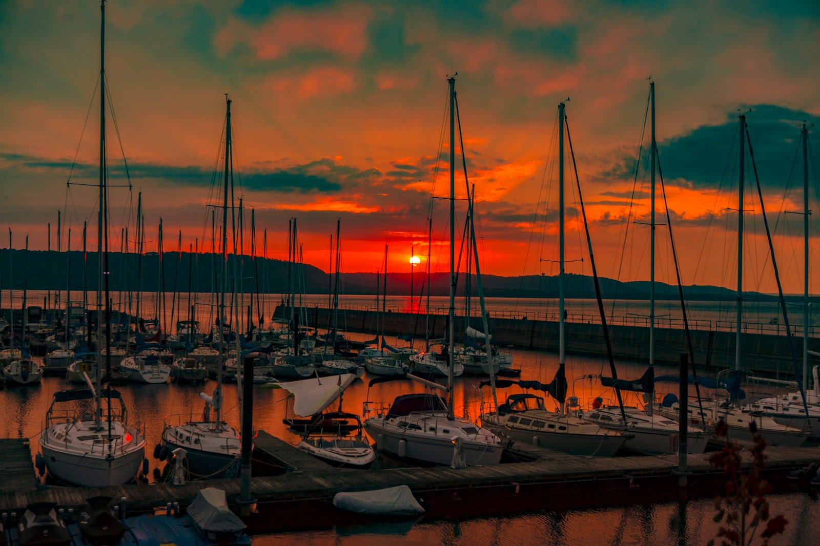 Russman's spot: 2018