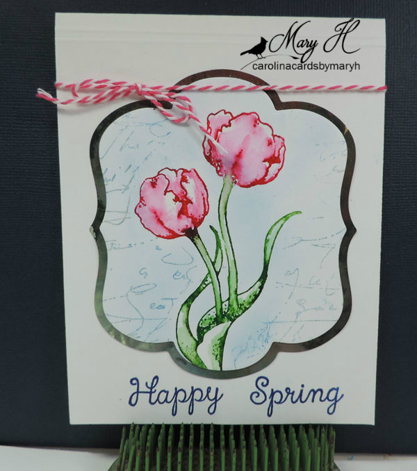 Carolina Cards by Mary H.: CAS Watercolor - Spring Tulips