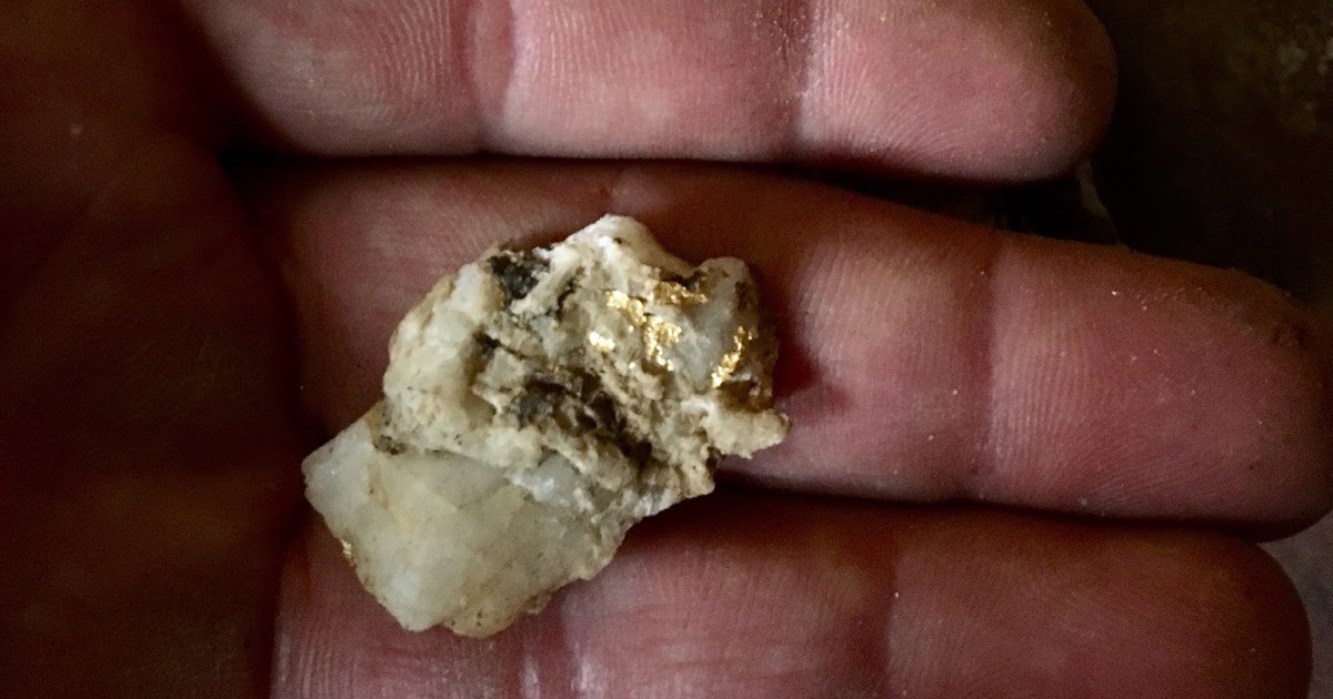 In Search of Slumach: A taste of gold ...