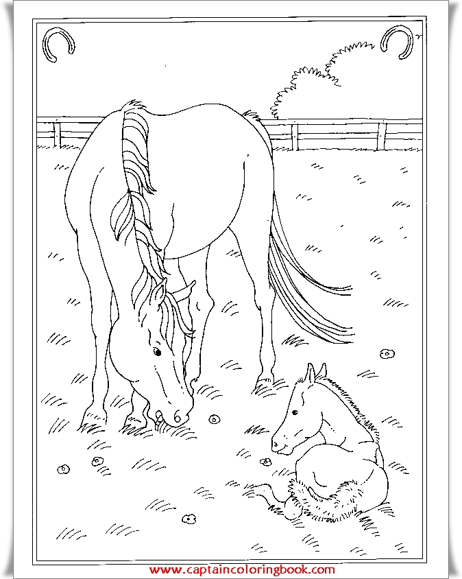 Coloring book pdf download