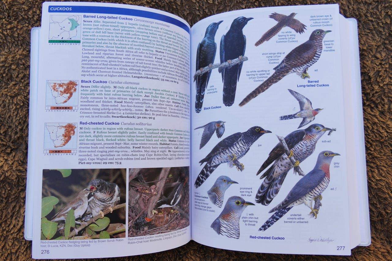Southern Africa's Ramsar Sites: Roberts Bird Guide (2nd edition)