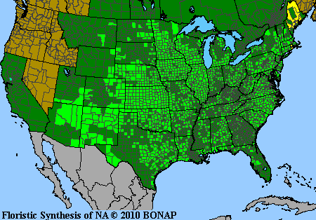 Restoring The Landscape With Native Plants: Native Plant of the Week ...