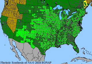 Restoring The Landscape With Native Plants: Native Plant of the Week ...