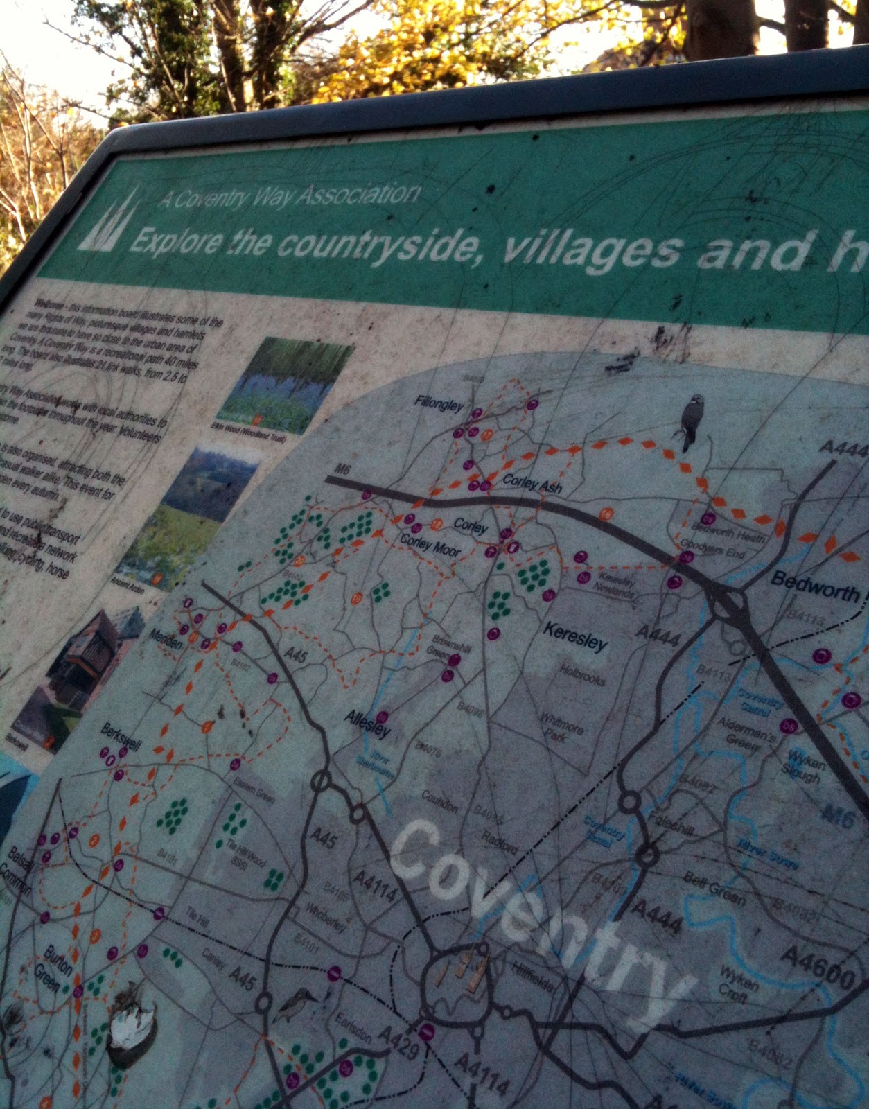 Jacqui Bricknell Environmental Interpretation: A Coventry Way Association