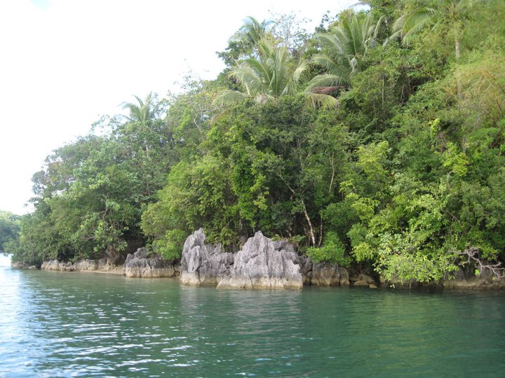Magnificent Bacacay