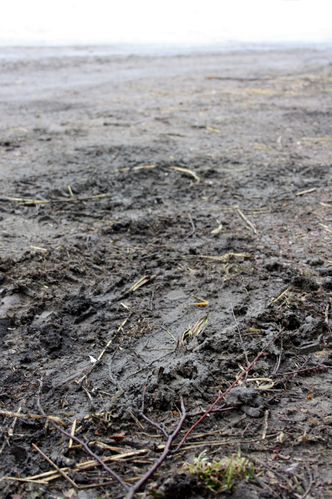 Livet på Nedergård: Fula bilder