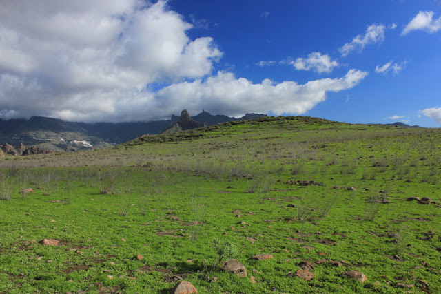 Foto Blog Gran Canaria: Fotos von Acusa Verde, Gran Canaria Nordwesten