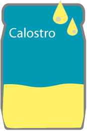 .: Calostro: clave para la adaptación a la vida fuera del Útero