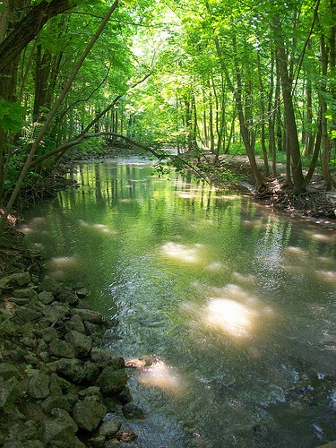 Petrifying Springs County Park - Kenosha | Where to go Wisconsin
