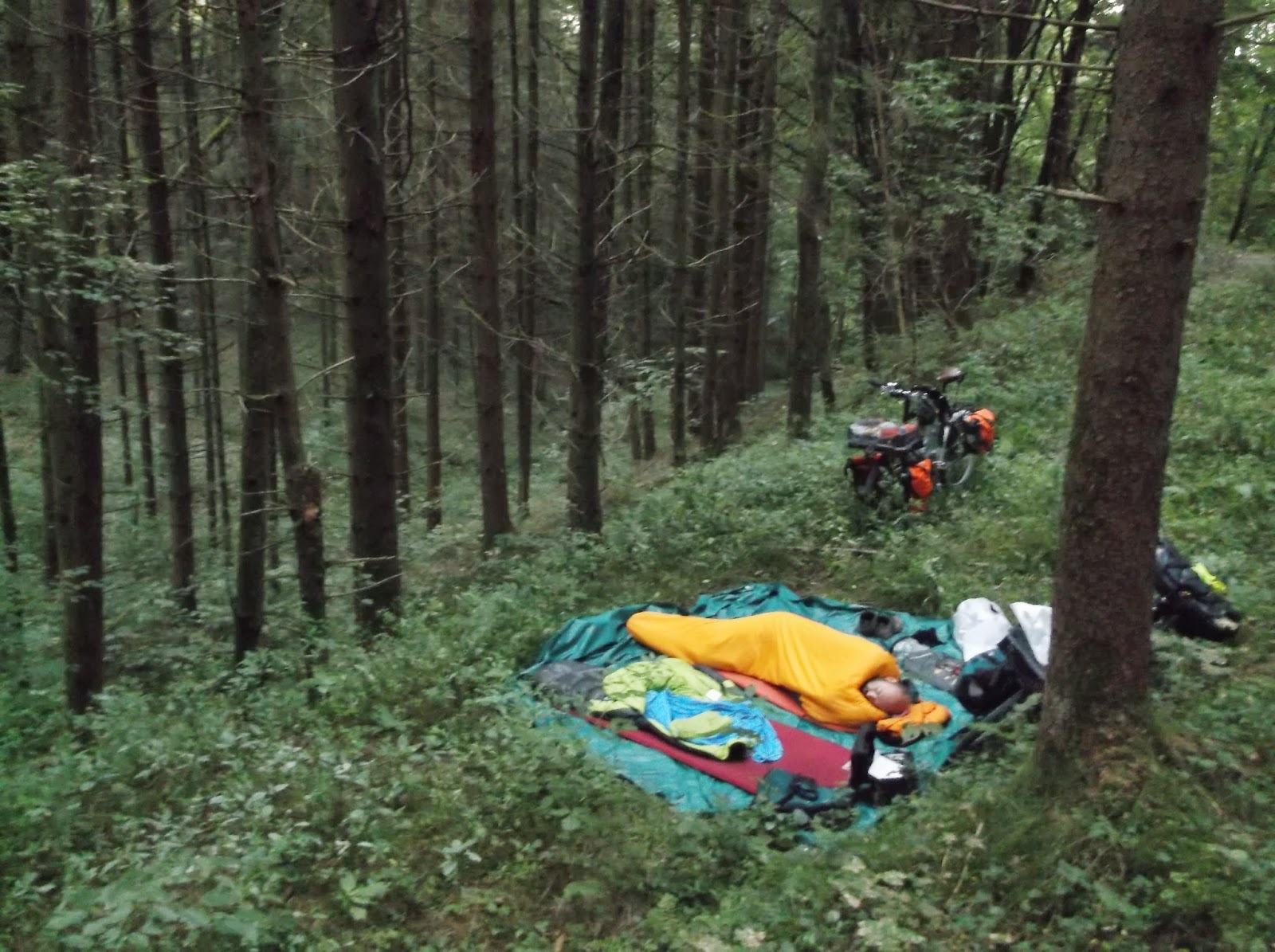 De Nantes à //Hui !Gaeb: La forêt noire