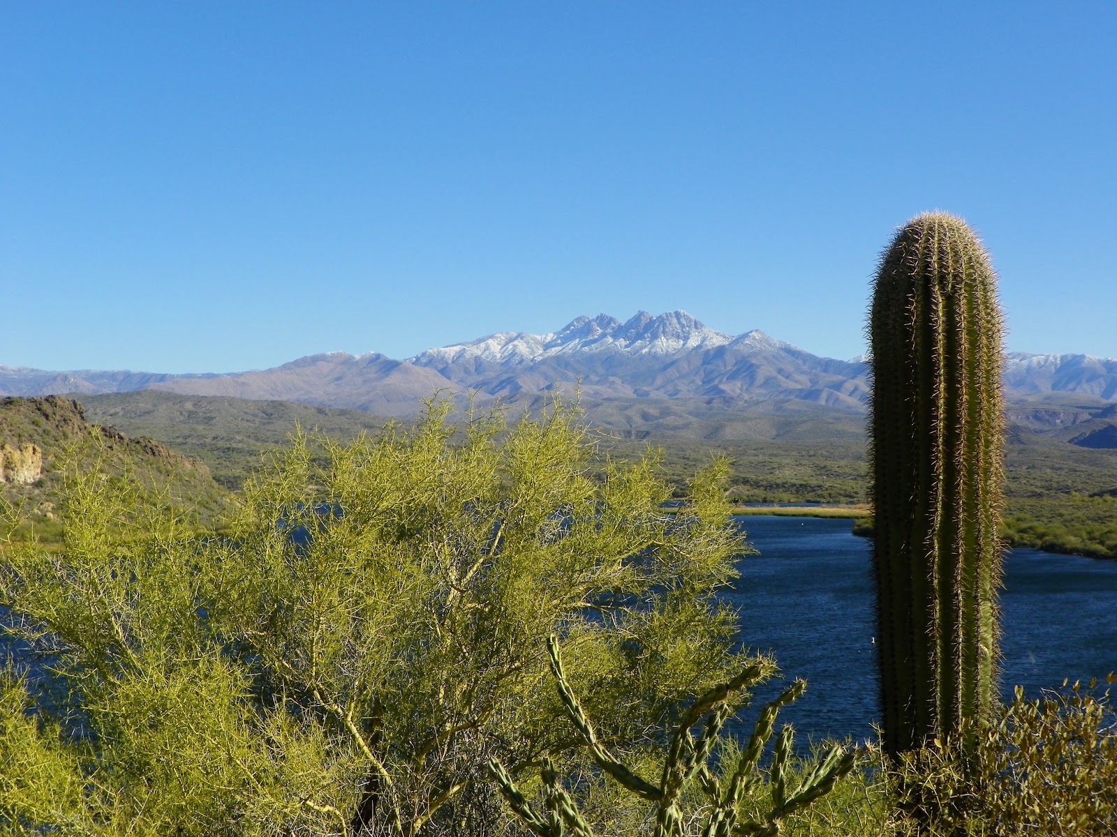 ON THE ROAD: Rock Shadows RV Park-Apache Junction,AZ
