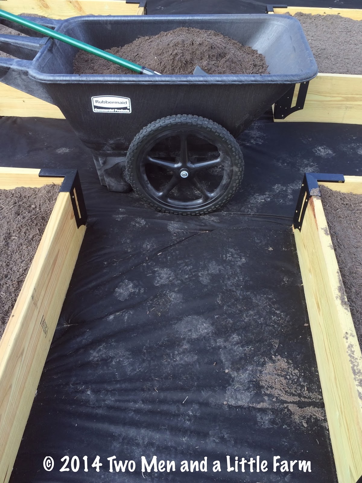 Two Men and a Little Farm: SOIL IS IN THE RAISED BEDS