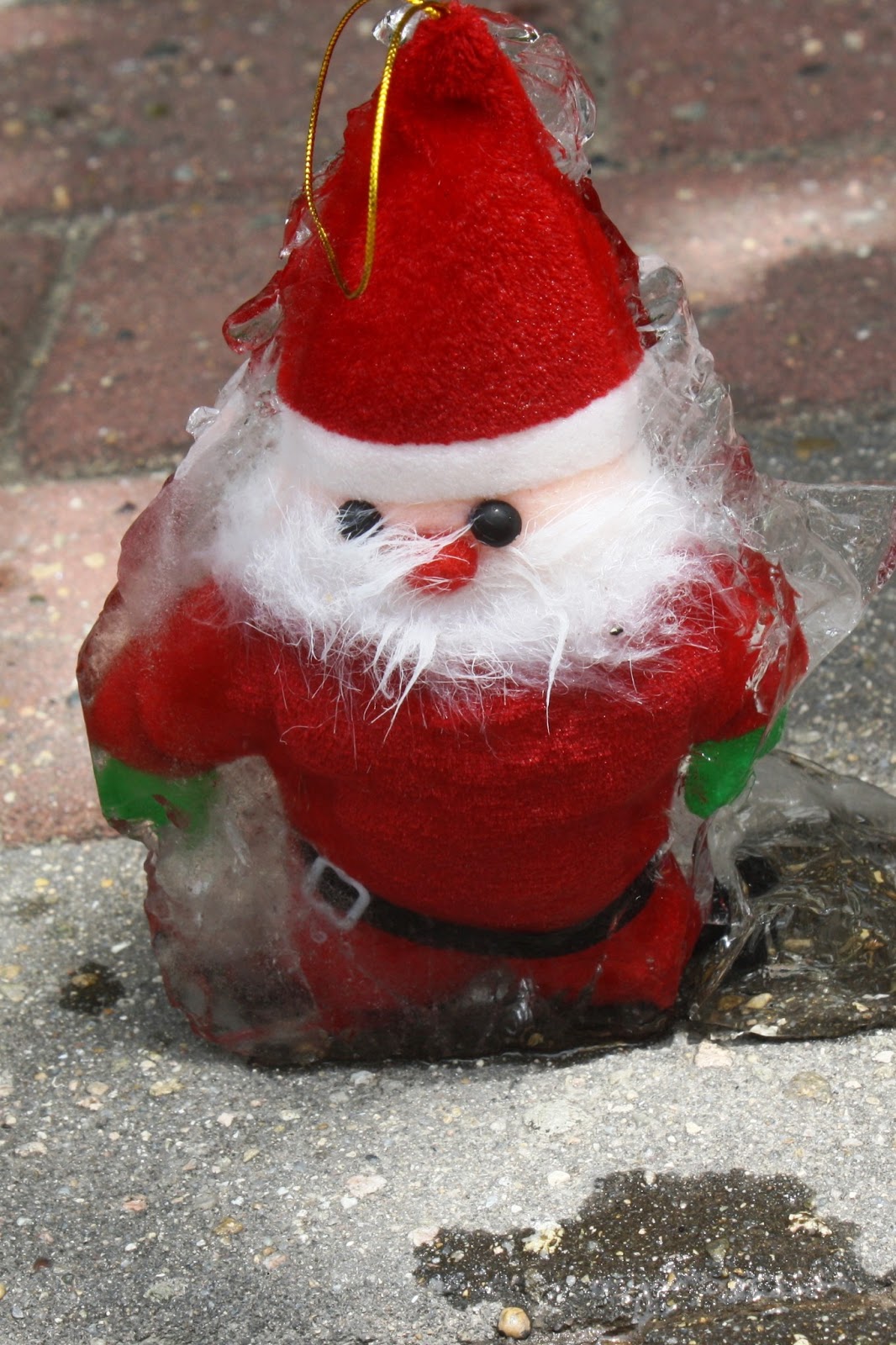 New Life: Korea Lantinga Family: "What to do with ornaments when Xmas ...