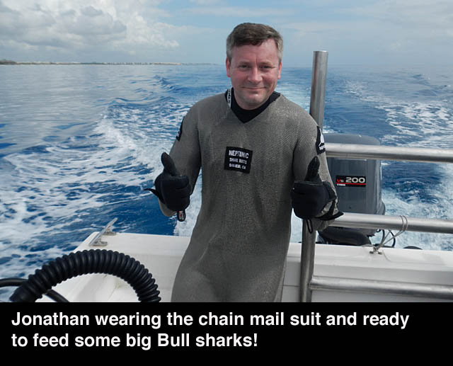 Jonathan Bird's Blue World