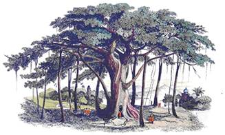 Connector of spiritual and science: Avatar (Movie) is Hindu mythology