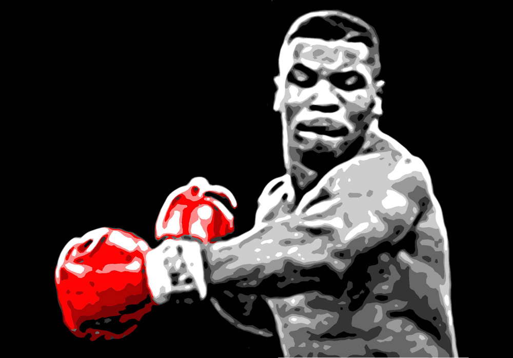 La Mosca Porteña: Everyone has a plan 'till they get punched in the mout La Mosca Porteña: Everyone has a plan 'till they get punched in the mout