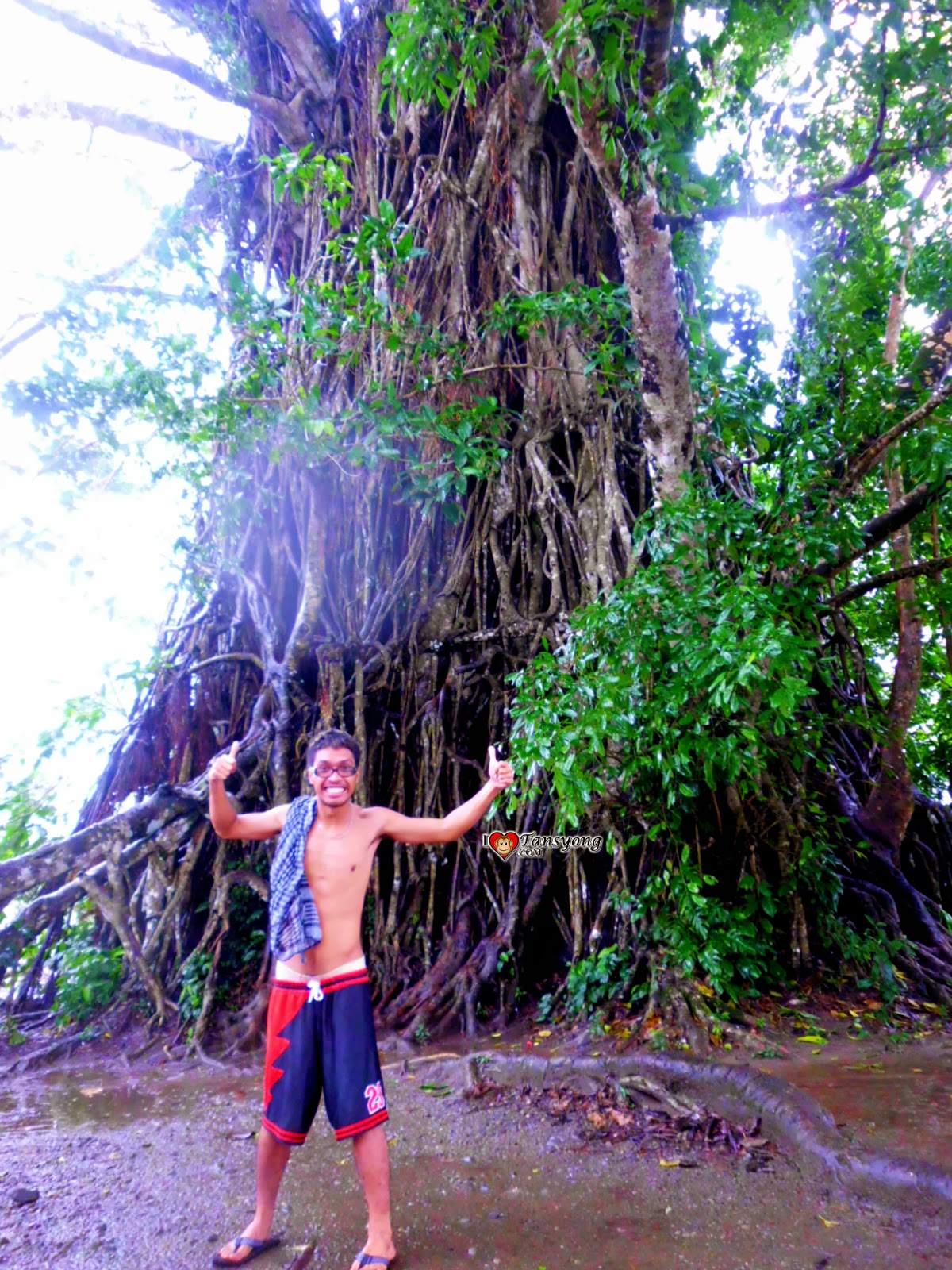 Balete Park & Millennium Tree: Largest Balete in Asia - I ♥ Tansyong™