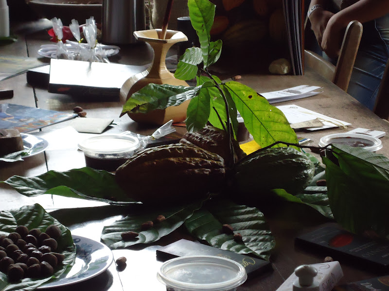 Pachamama Spectrum of Treasures: "Making Chocolate" - transforming the ...