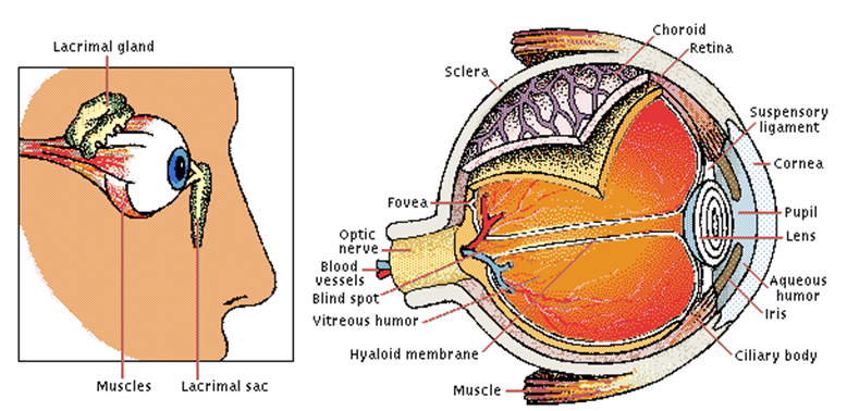 Rumus Fisika: ALAT-ALAT OPTIK