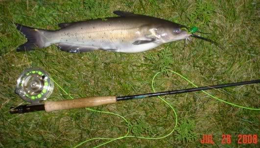 FishnDave: Fly-Fishing for Catfish