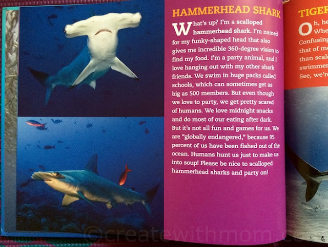 Create With Mom: How We Can Help Save Sharks