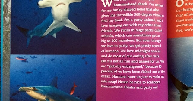 Create With Mom: How We Can Help Save Sharks