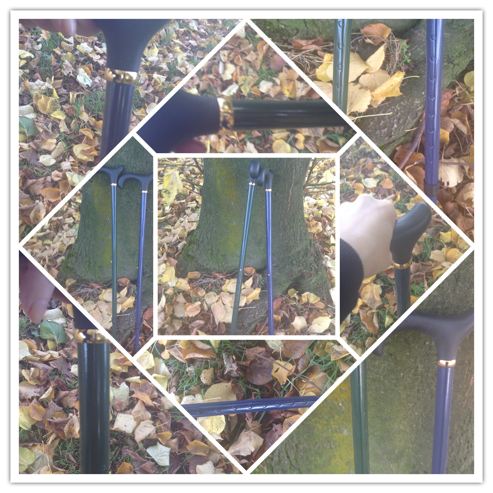 Sparkling Magpie : Soft Grip Derby Handle Ossenberg Walking Sticks: A ...