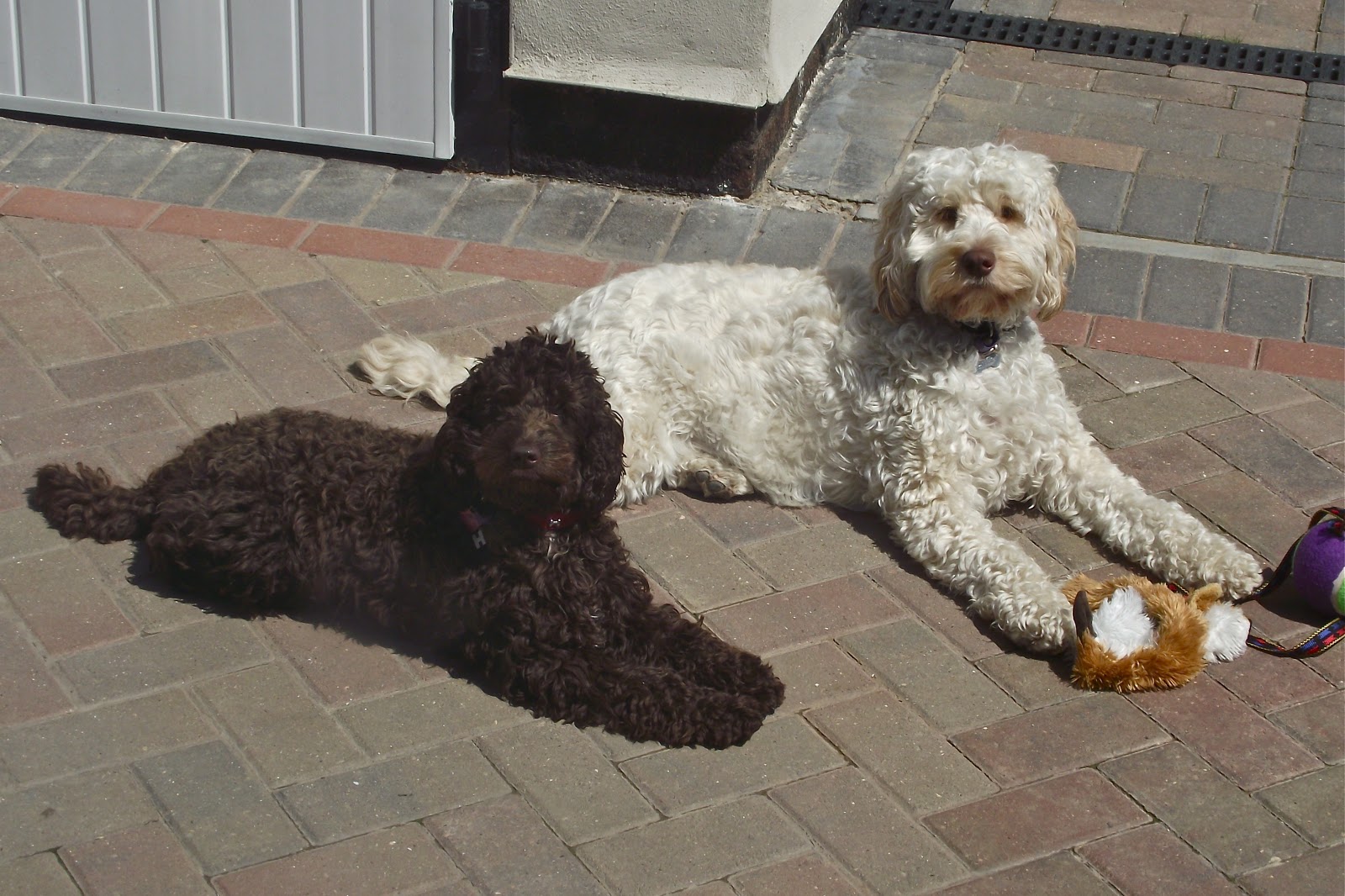 Jukee Doodles : Testimonials