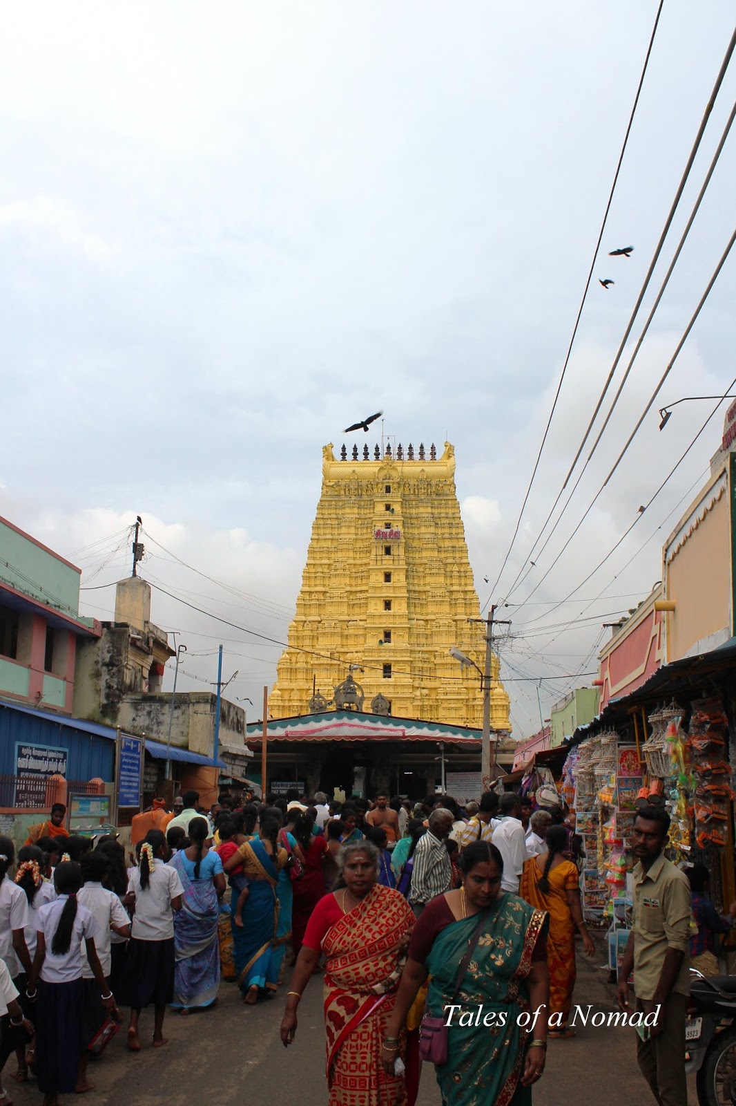 Tales Of A Nomad: Places to visit in Rameshwaram
