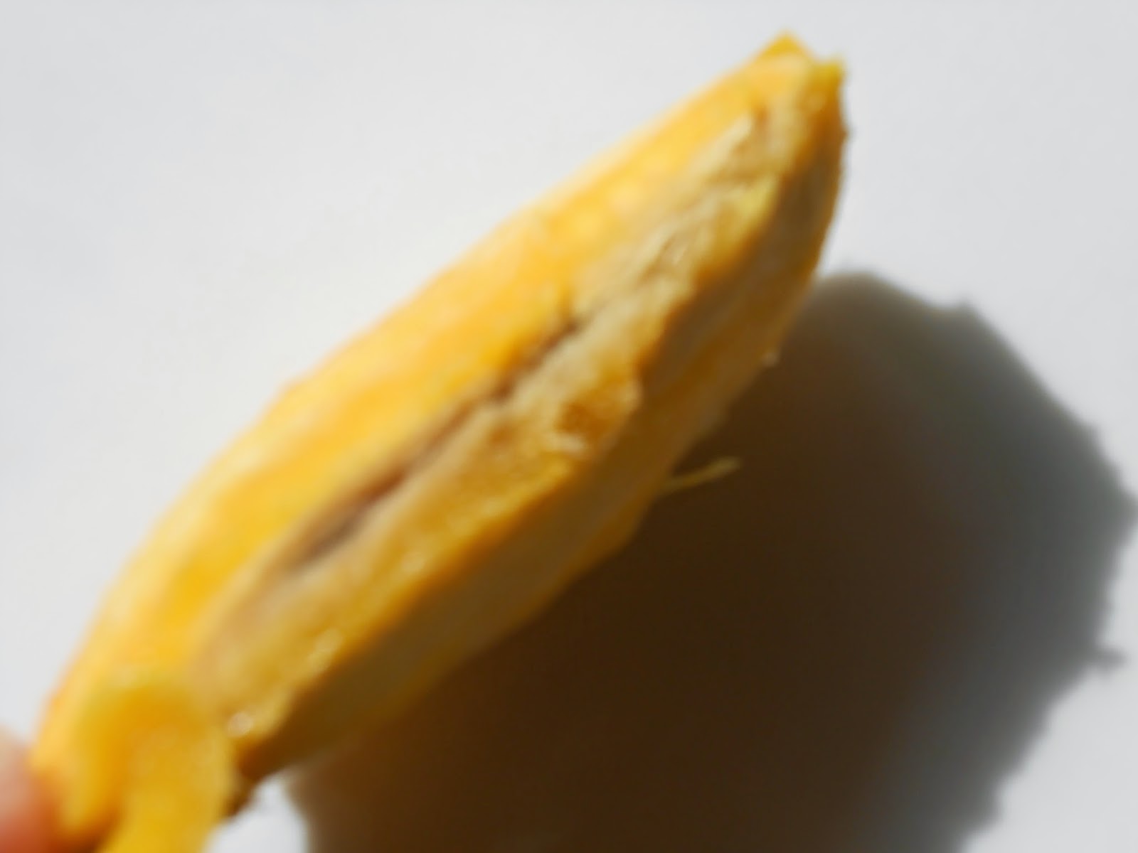 My Tropical Organic Garden: How I grow mango from seed