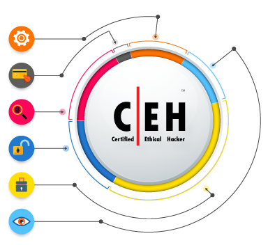 CEH v9 Training