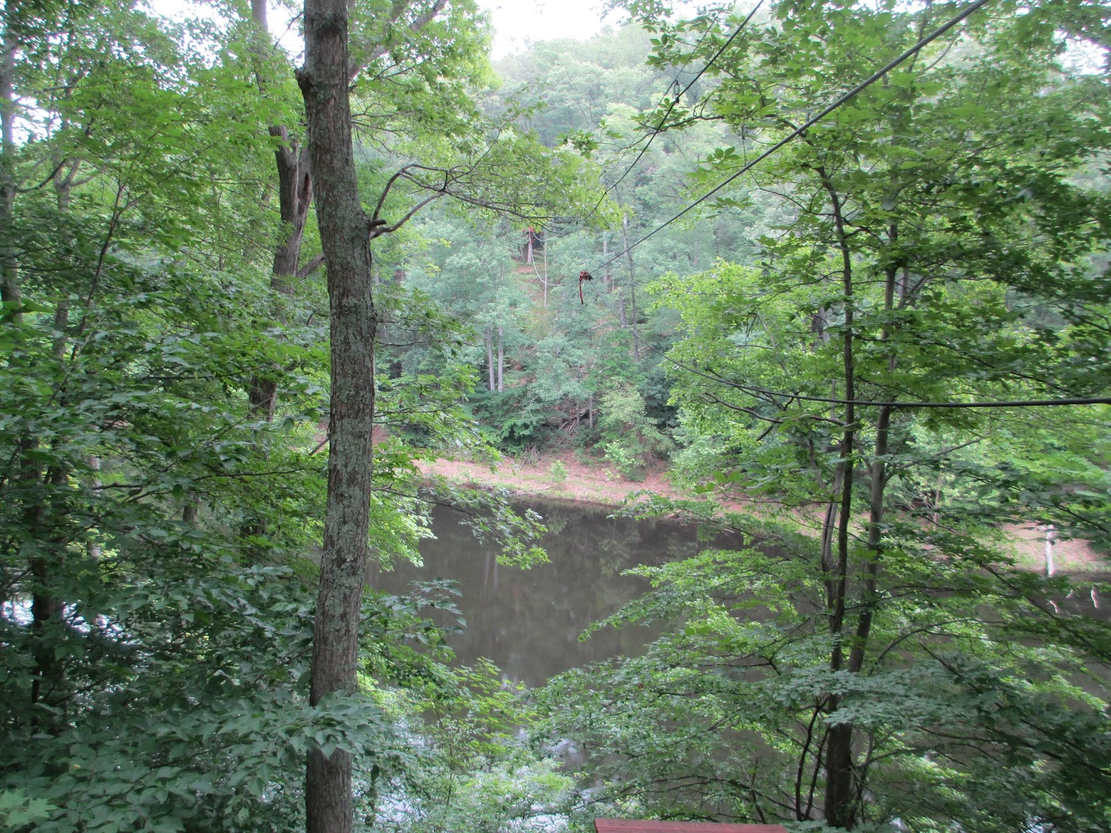 Ziplining Across the USA: Thursday July 4 Explore Brown County Zip Line