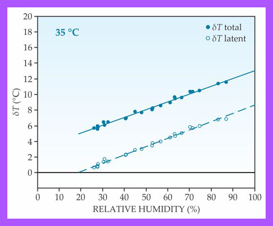 Ciencia de la vida cotidiana: Condensación en latas: el efecto botijo ...