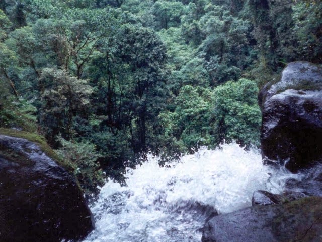 ECOSISTEMAS DE COSTA RICA: ACUÍFEROS GUÁCIMO-POCOCÍ