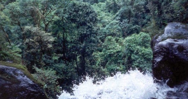 ECOSISTEMAS DE COSTA RICA: ACUÍFEROS GUÁCIMO-POCOCÍ