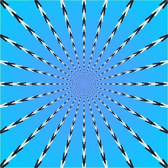 Optische illusies en gezichtsbedrog: februari 2013