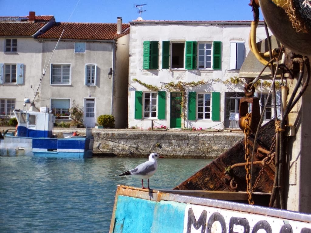 Eva & Ralf heiraten...: Urlaub Tipps