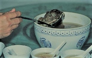 Healthy Soup !!! Sup Janin Manusia, Makanan Teraneh di dunia... ~ DEMIGHT