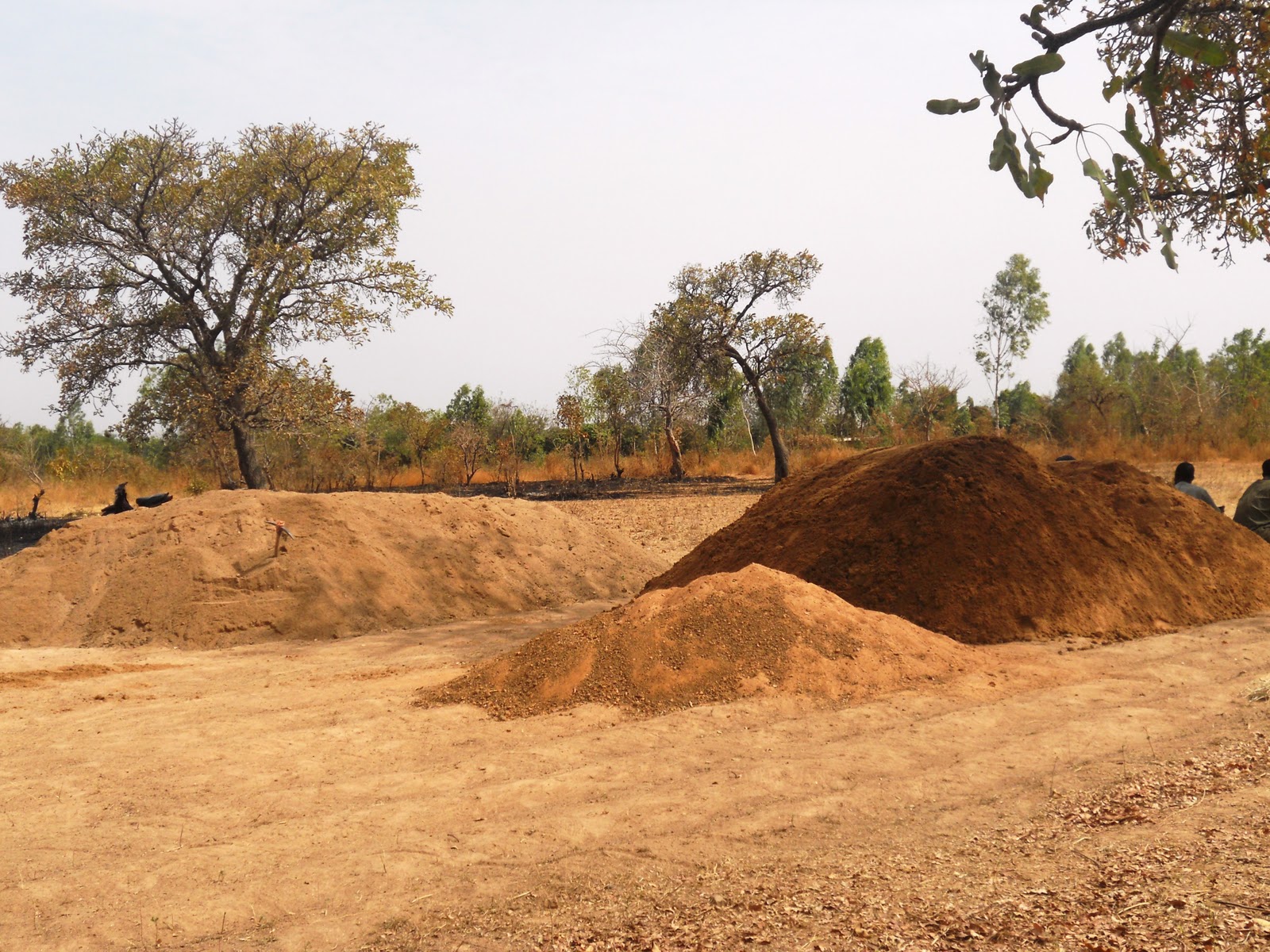 CAT SYA - Educació i salut a l'Àfrica: KOTEDOUGOU - RECOLLIDA DE ...